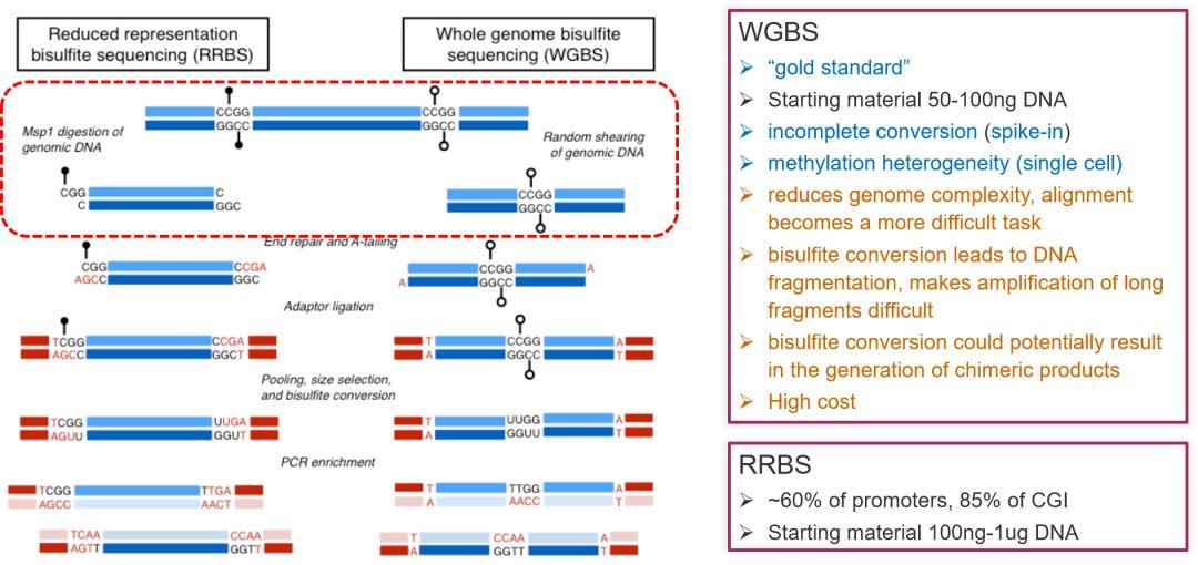 如何检测 DNA 甲基化？ - 知乎