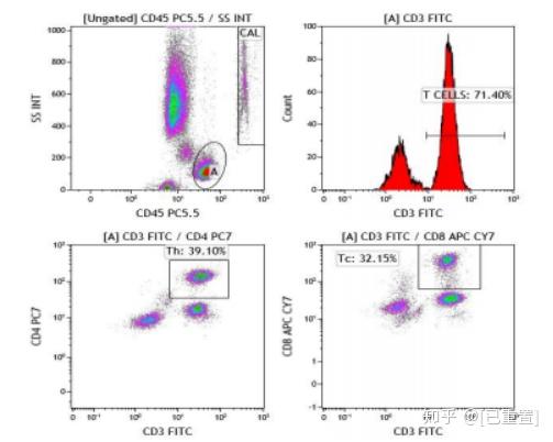TBNK检测 筑起身体的第一道防线 - 知乎