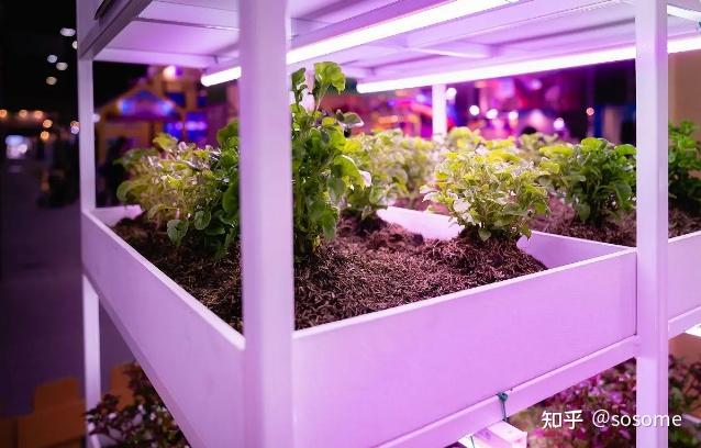 办理植物灯亚马逊美国UL报告UL8800测试周期流程 - 知乎