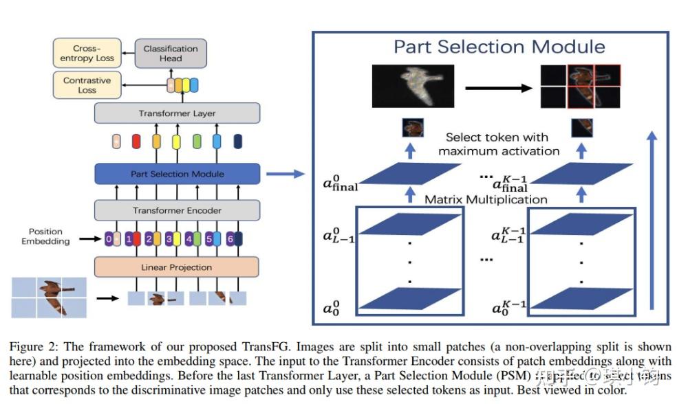 《TransFG： A Transformer Architecture for Fine-Grained Recognition》论文详解 - 知乎