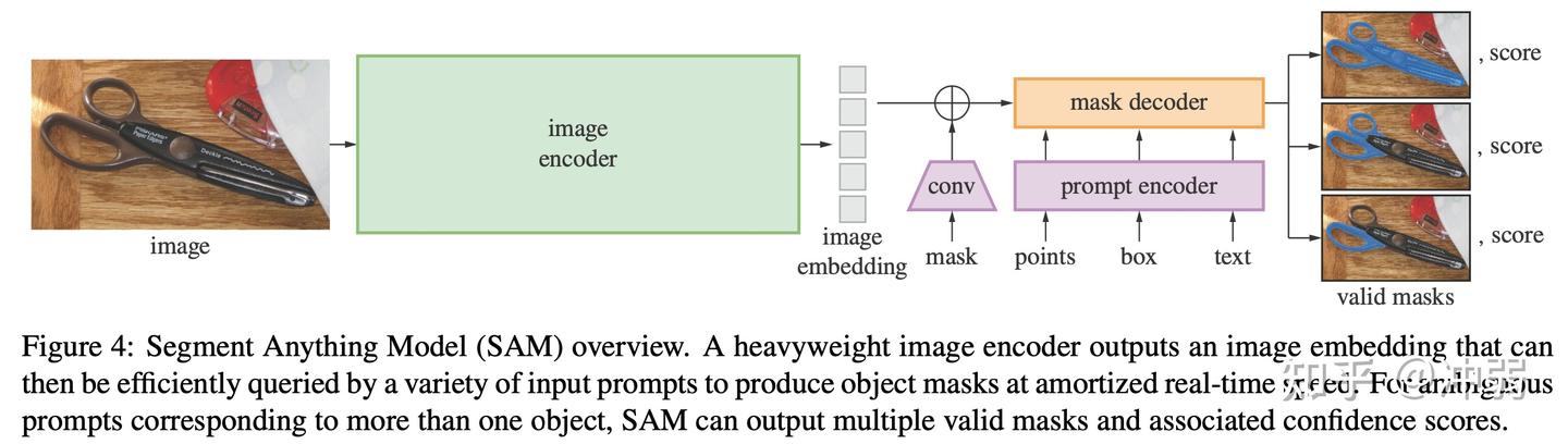 一篇文章搞懂Segment Anything(SAM) - 知乎