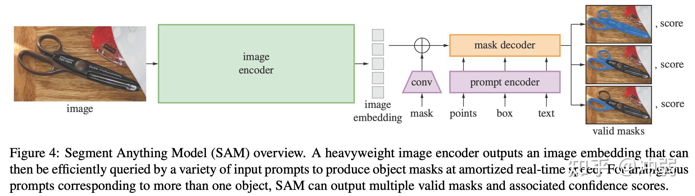 一篇文章搞懂Segment Anything(SAM) - 知乎