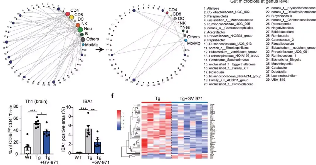 Cell Research特别报道 | 耿美玉团队揭示中国原创阿尔茨海默病新药GV-971的作用机理 - 知乎