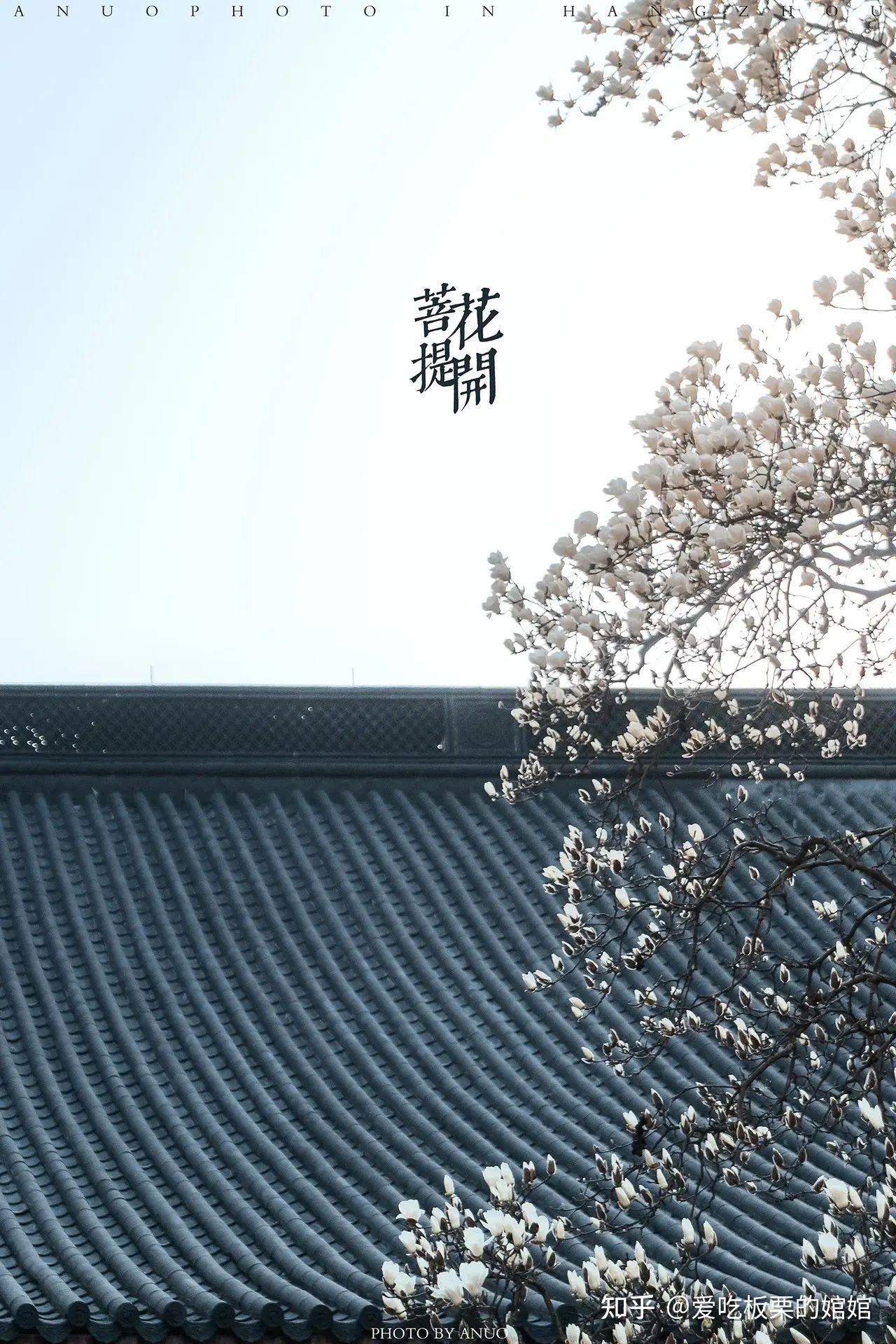 人世间 知乎