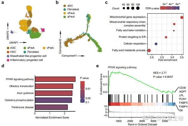 项目文章：单细胞测序探究免疫细胞群在癌症相关脂肪消耗中的作用 - 知乎