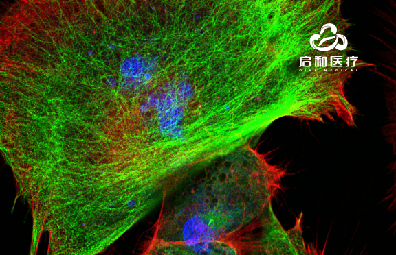 AF700 NHS | AF系列荧光染料 - 知乎