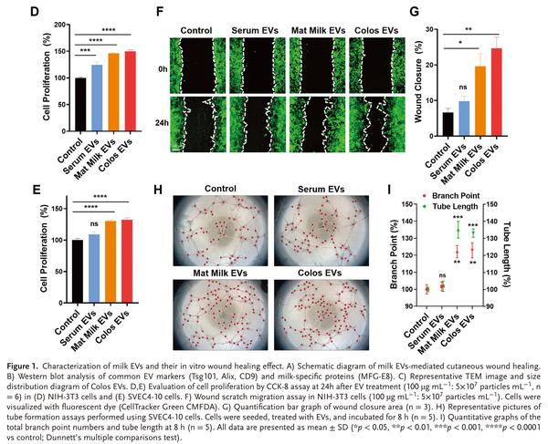 RayBio助力科研机构开发促皮肤伤口愈合新材料|Advanced Healthcare Materials（IF:11.092） - 知乎