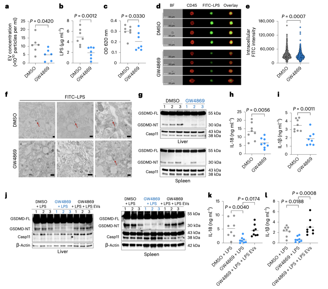 Nature Cell Biology丨循环外泌体可以携带 LPS 诱导焦亡 - 知乎