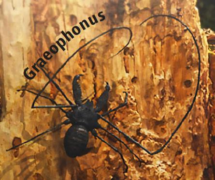 第四章 生物登陆 - 知乎