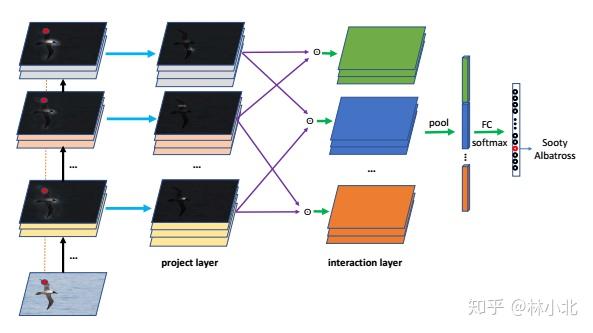 双线性池化（Bilinear Pooling）详解、改进及应用 - 知乎