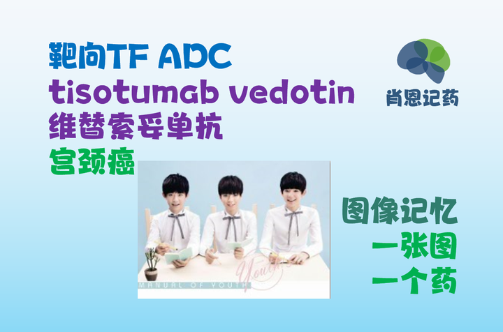 记住所有FDA生物药 | 靶向TF ADC | TIVDAK® tisotumab vedotin 维替索妥单抗 | 宫颈癌 - 知乎