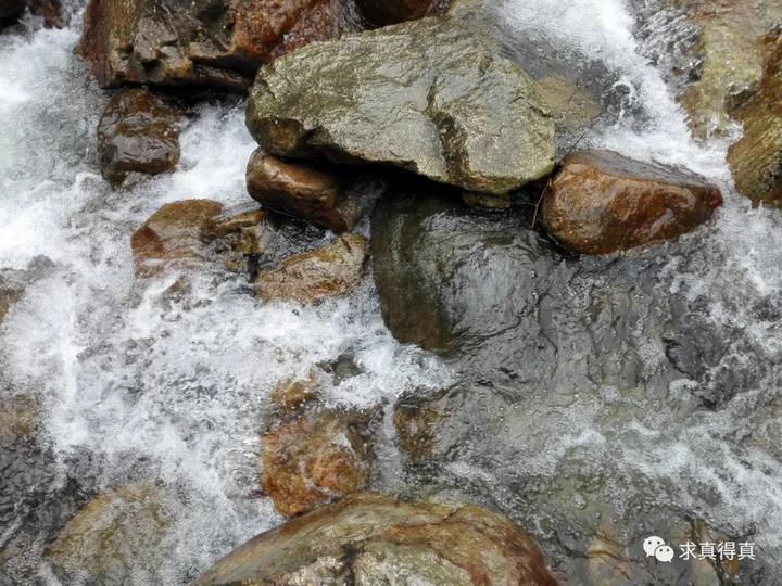 HOMER docker版本安装详细流程 - 知乎