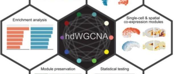 SCS【28】单细胞转录组加权基因共表达网络分析(hdWGCNA) - 知乎