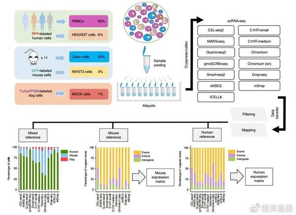 Nature Biotech | 13种单细胞RNA测序方法比较，哪种更好？ - 知乎