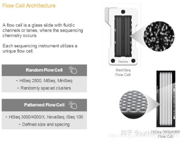 NGS测序原理02-簇生成（Cluster Generation） - 知乎