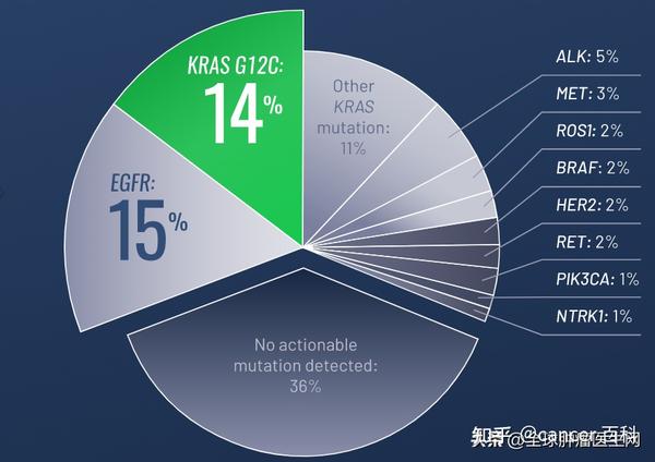 80%患者肿瘤缩小！KRAS肺癌患者迎来重磅新药 - 知乎