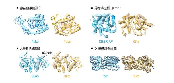 Distributional Graphormer：从分子结构预测到平衡分布预测 - 知乎