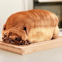 ROS导航仿真使用dwa做规划器的部分参数调试心得 - 知乎