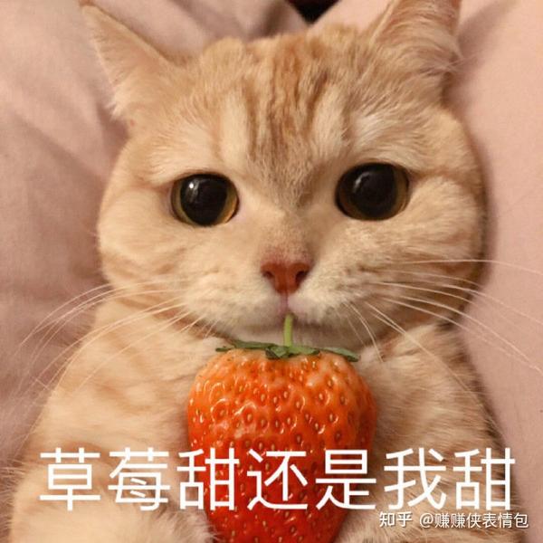 搞笑表情包图片：没眼看 - 知乎