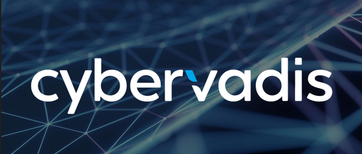 Cyber Vadis评分量表,Cyber Vadis评估方法和流程介绍 - 知乎