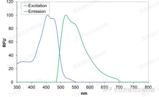 MitoSOX Green Mitochondrial Superoxide Indicator的核心特点 - 知乎