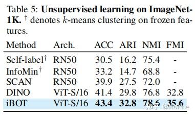 【论文精读】IBOT - 知乎