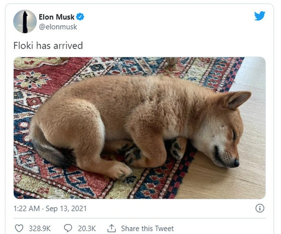 什么是 Floki Inu (FLOKI)？你想知道的关于FLOKI的一切！ - 知乎