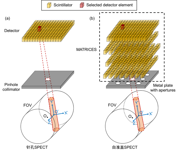 清华大学工物系团队在自准直SPECT高分辨率成像研究领域取得新进展 - 知乎