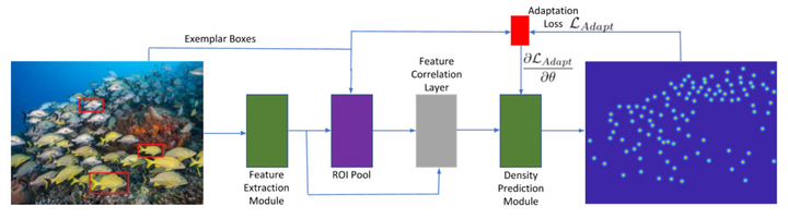 Learning to Count Everything - 知乎
