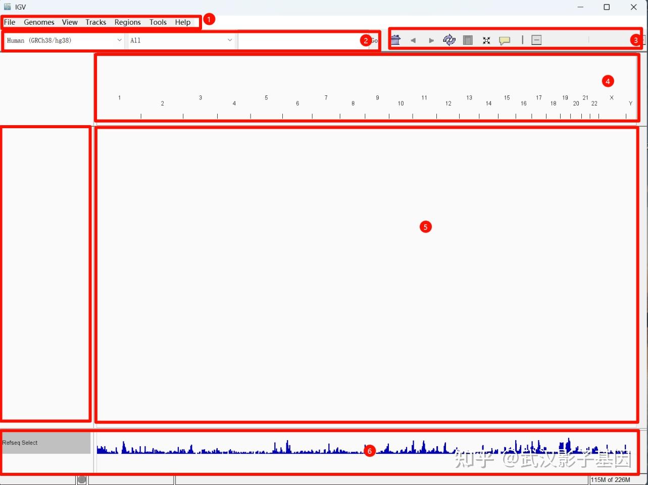 IGV使用教程（图文） - 知乎
