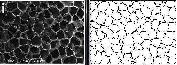 ImageJ的一些基本操作 - 知乎