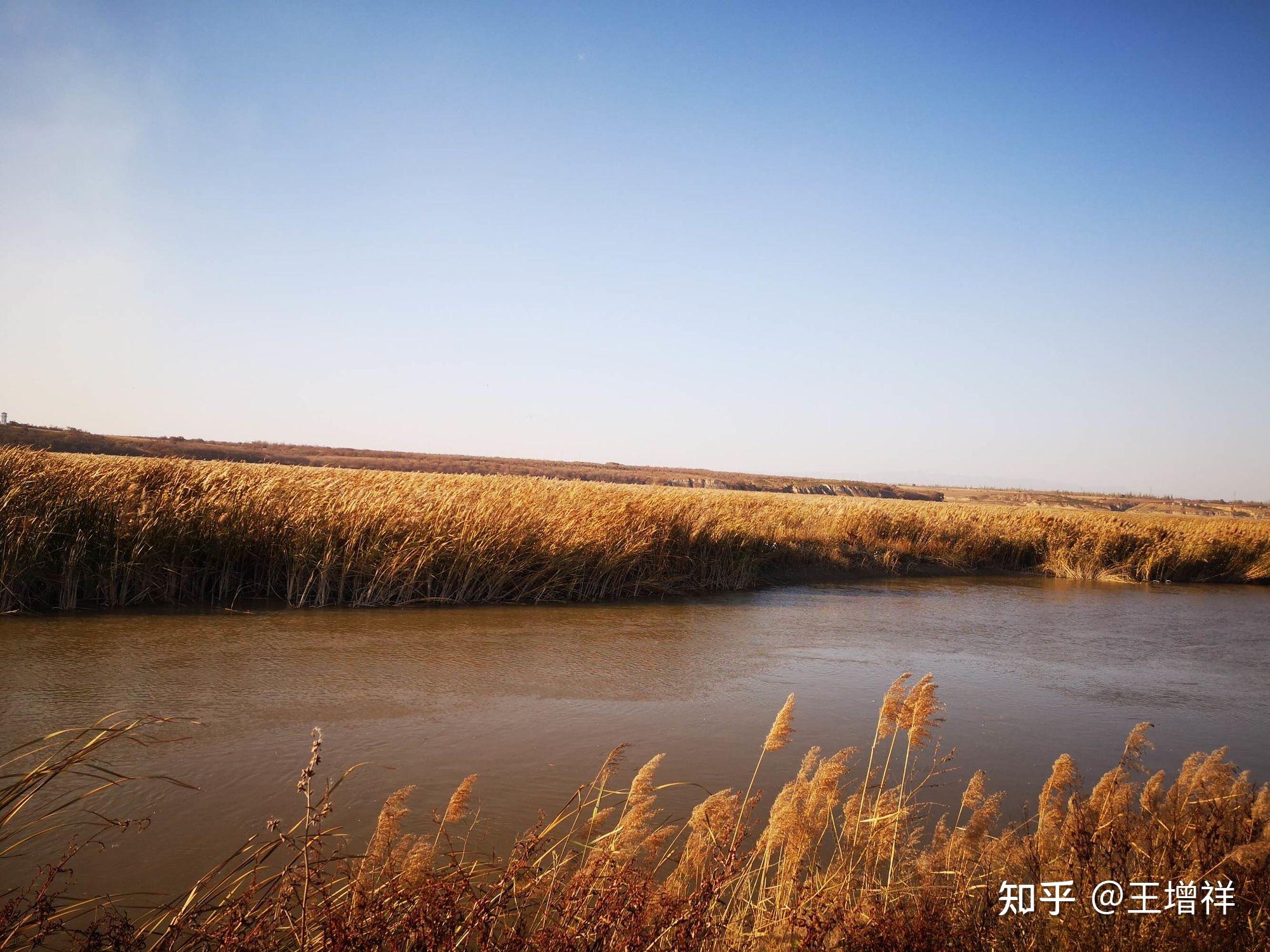 大同有哪些适合全家人一起旅行的景点？ - 知乎