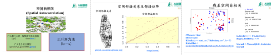R语言回归及混合效应（多水平/层次/嵌套）模型及贝叶斯实现实践技术 - 知乎