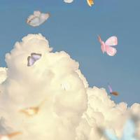 CAS：129787-64-0，Rhod-2，AM Cell Permeant，线粒体钙离子检测 - 知乎