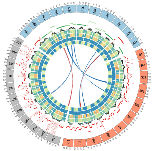 最新最全！10个物种的15篇T2T基因组文章汇总！ - 知乎