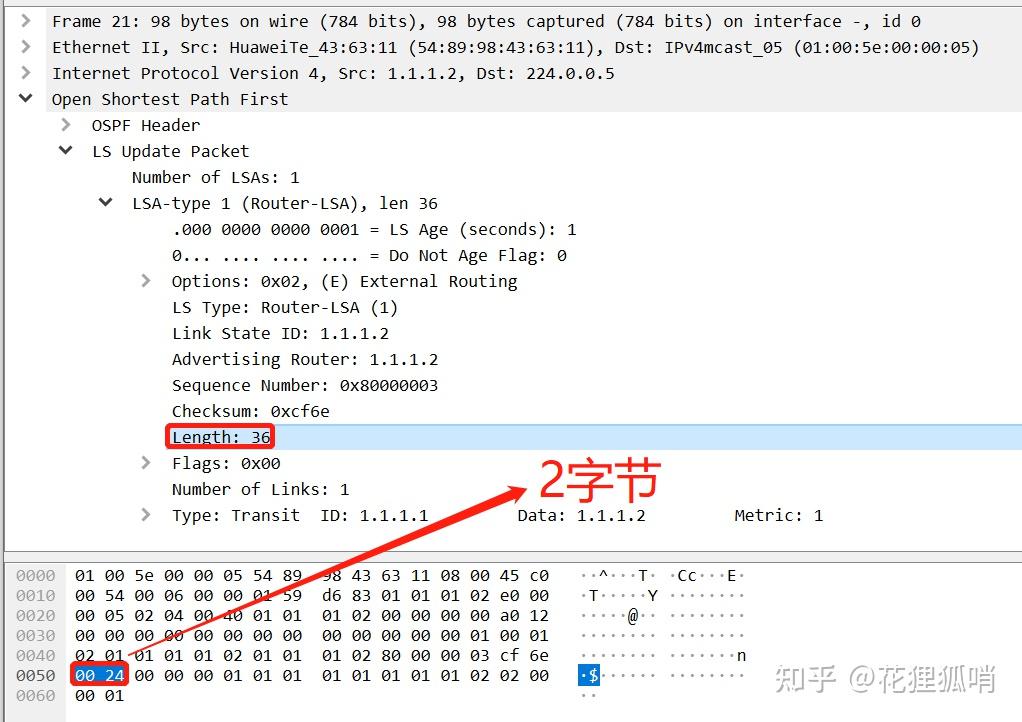 OSPF LSA报文格式总结 - 知乎