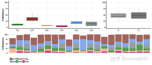 利用maftools分析annovar的注释结果 - 知乎