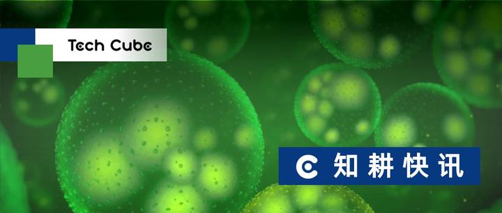 2Blades技术赋能NAPIGEN产业：叶绿体和线粒体编辑迎来商业化契机 - 知乎