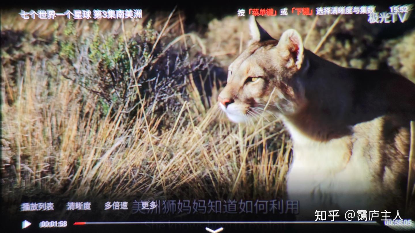 观影神器Goovis G3 MAX真实体验报告 - 知乎