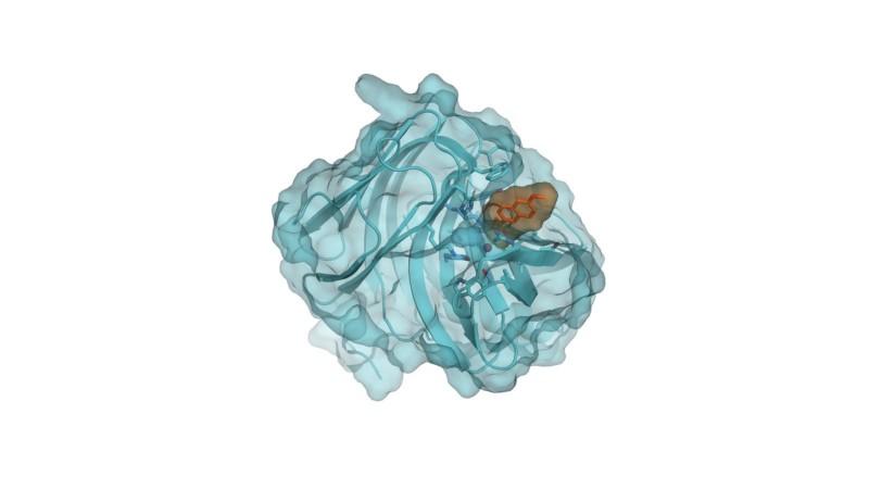 Arzeda: 从制造蛋白质开始，改变我们的生命、改变我们的世界 - 知乎