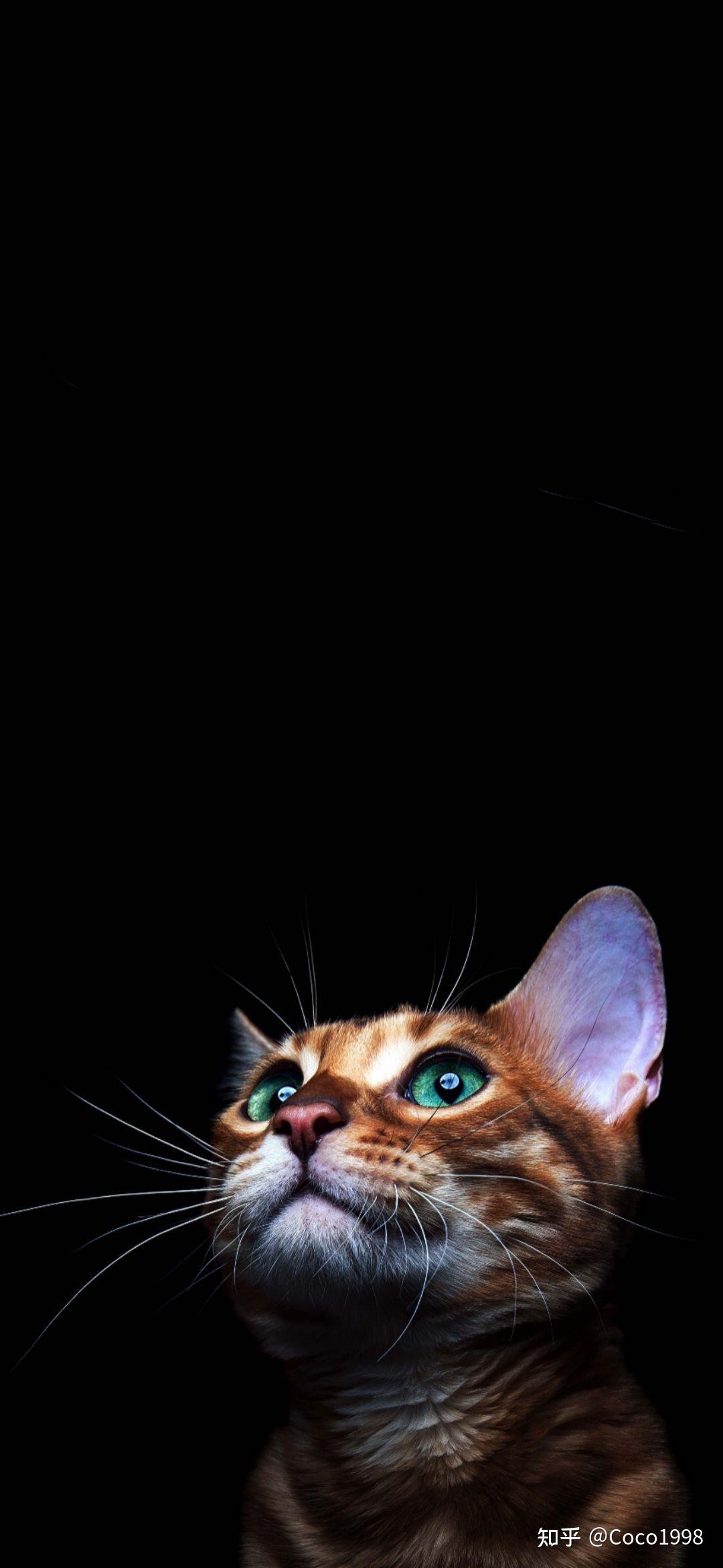 4K全面屏手机壁纸大全 持续更新～ - 知乎