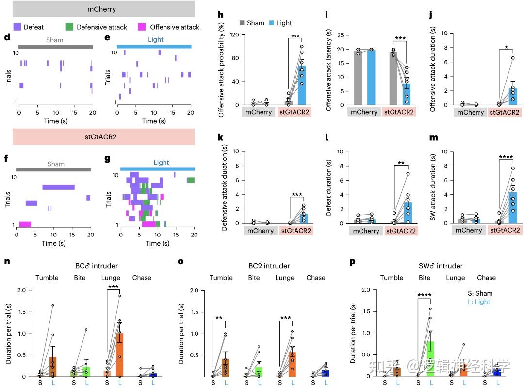 Nat Neurosci︱纽约大的Dayu Lin 团队揭示抑制对强敌发起攻击的下丘脑通路 - 知乎