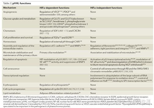 VHL基因突变与肾癌 - 知乎