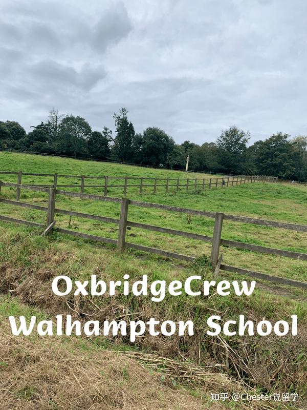 Walhampton学生亲述就读体验！这所学校有什么魔力让所有学生都爱上学习？ - 知乎