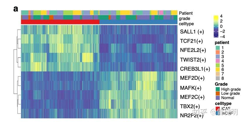 使用pyscenic做转录因子分析 - 知乎
