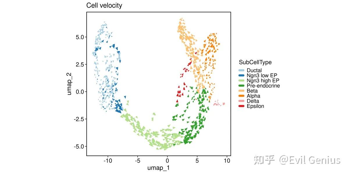 内容补充---单细胞轨迹分析（SCP） - 知乎
