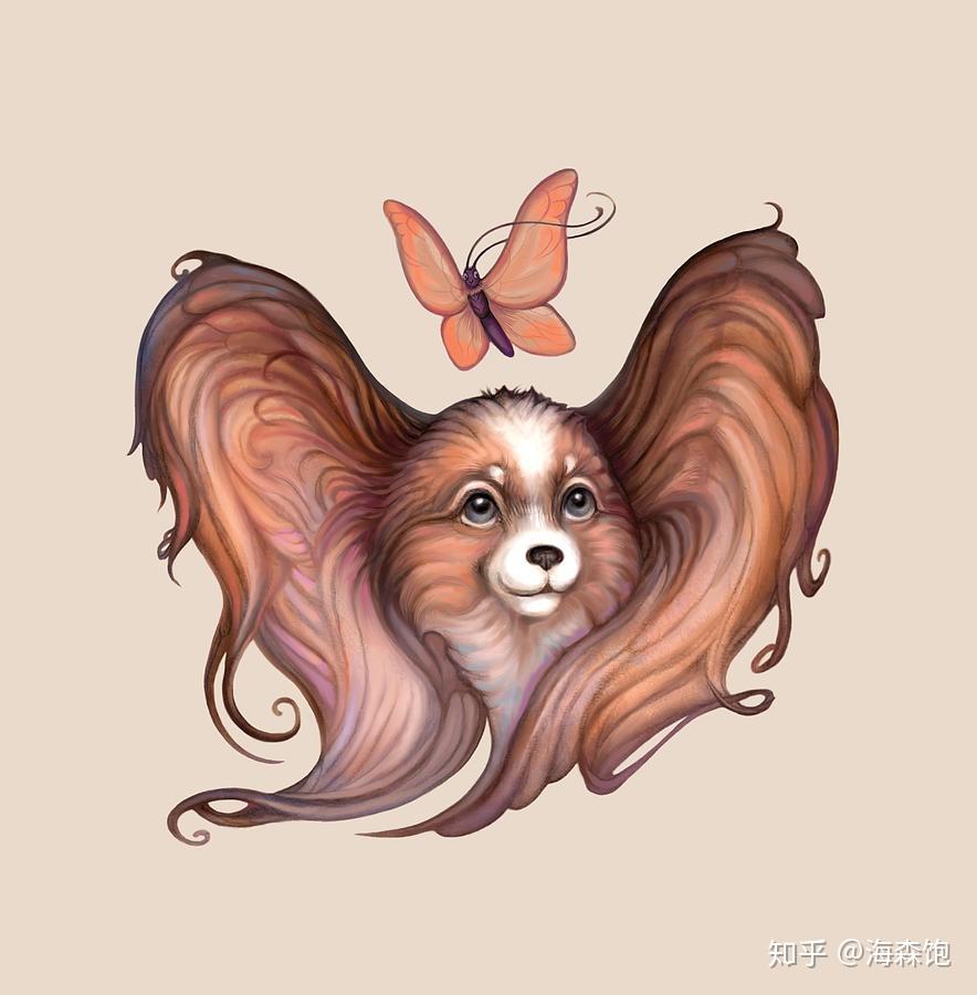 Papillon - 知乎