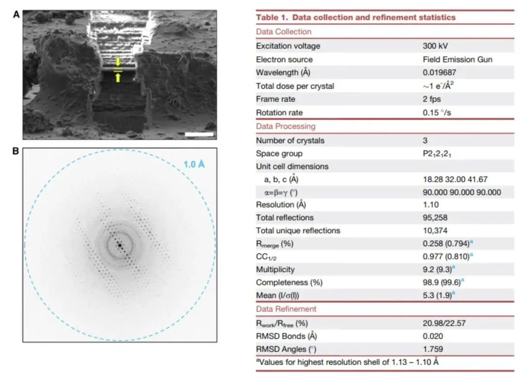 成功解析DNA微晶结构，MicroED技术应用拓展新领域！ - 知乎