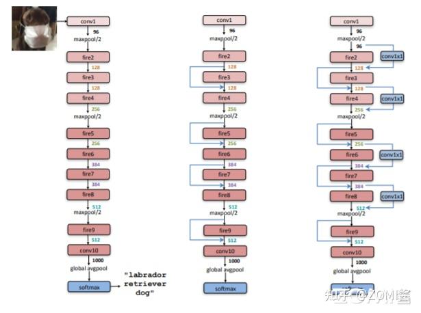 【AI系统】SqueezeNet 系列 - 知乎