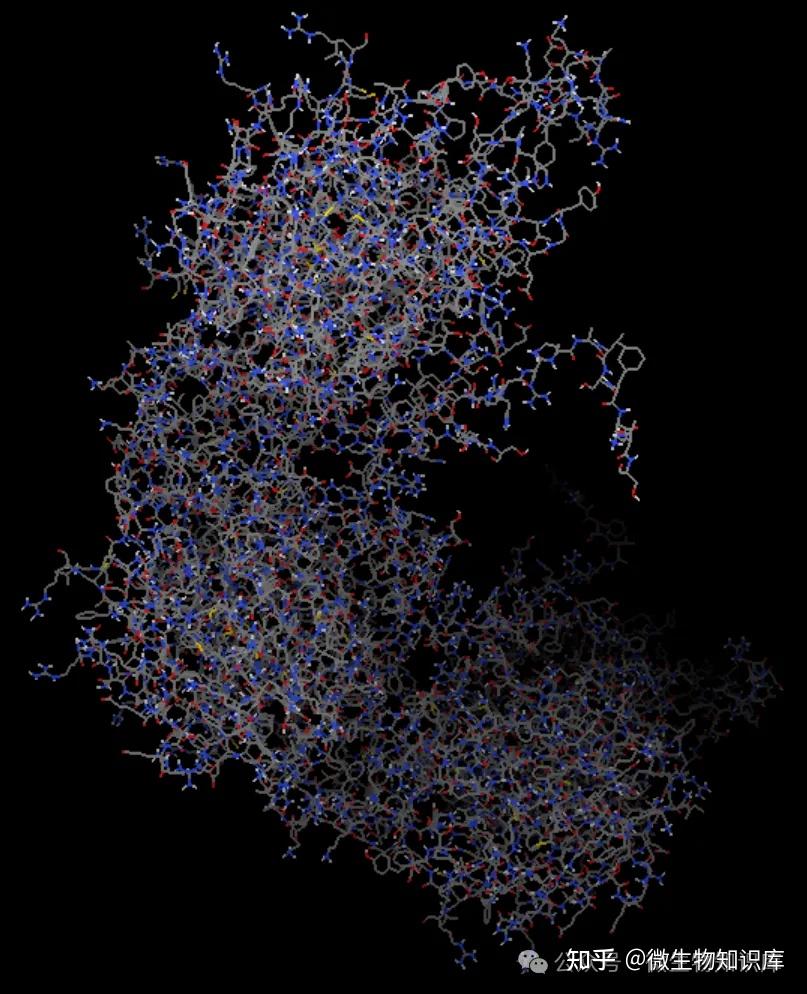 分子对接（五）：Autodock分子对接详细技术全攻略 - 知乎